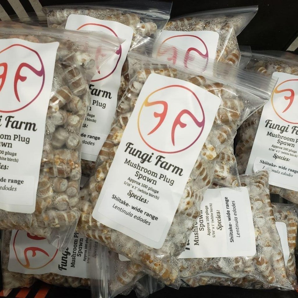 Spawn – Fungi Farm