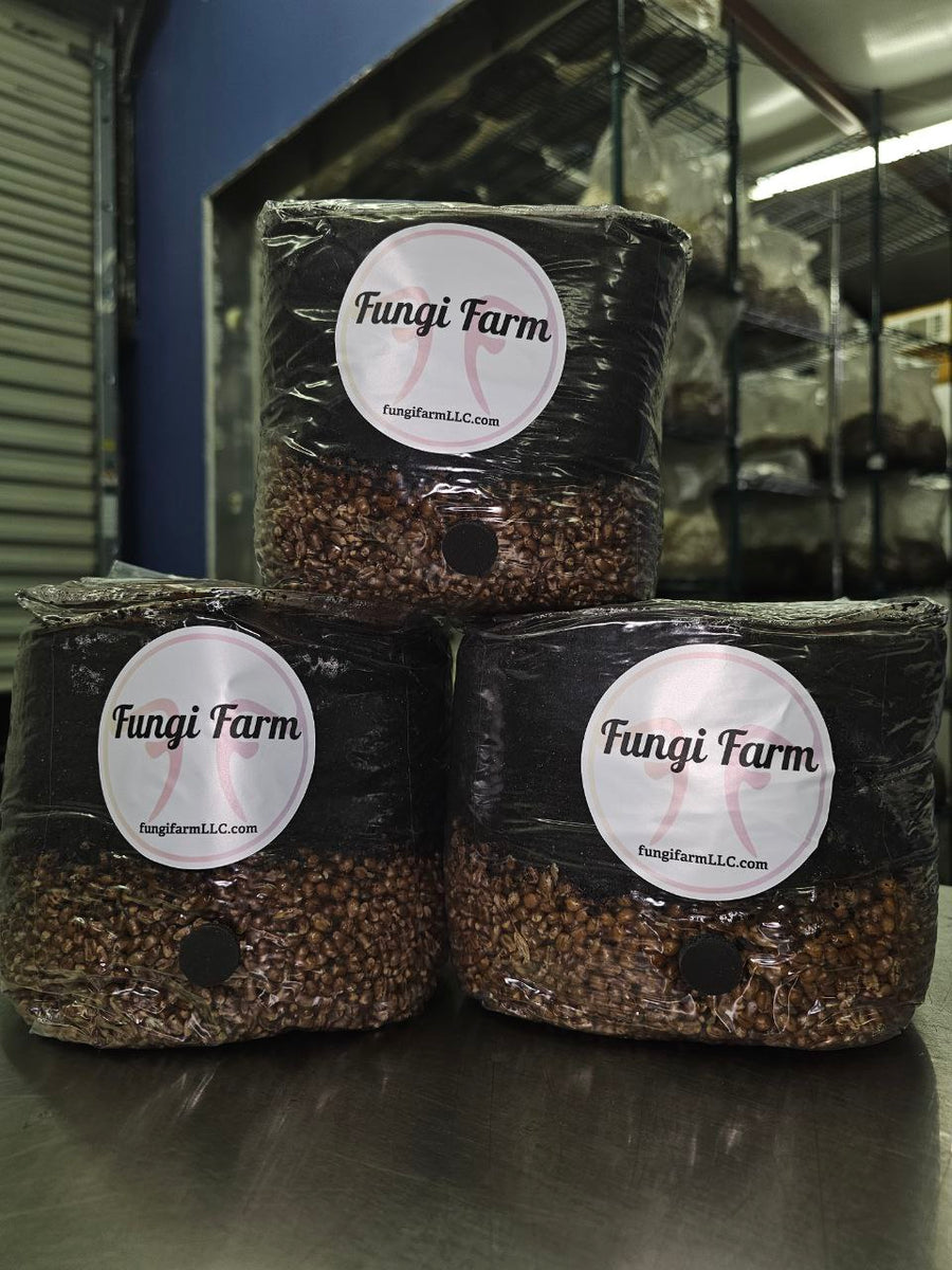 All-In-One Mushroom Grow Bags – Fungi Farm